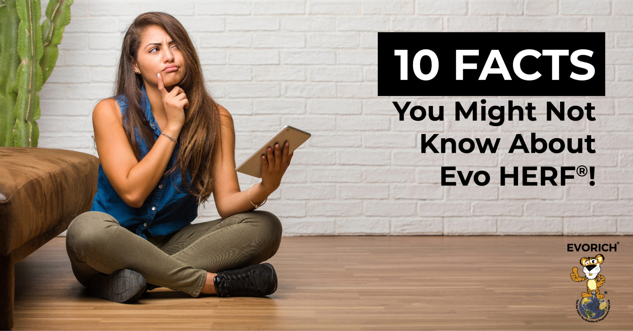 Evo HERF 10 Years Anniversary – 10 Facts You Might Not Know About HERF ...